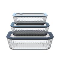 China IKOO Rectangular Striped Customizable BPA-Free Glass Food Container with Vented Glass Lid for sale