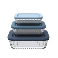 China Lightweight Striped Glass Food Container with PE Lid - Dishwasher Safe Borosilicate Glass Storage for sale
