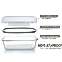 China IKOO 4-Lock Oven Safe and Microwave Safe Glass Food Storage Container with High Borosilicate Glass for sale