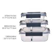 China IKOO Divided Glass Food Container with Cool Lock PP Lid for sale