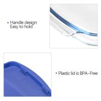 China IKOO Borosilicate Glass Bakeware with PP Lid 1000ml to 3600ml for sale