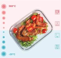 China IKOO High Borosilicate Glass Food Container with 2-Lock PP Lid - Microwave Safe and Leak-Proof for Meal Prep for sale