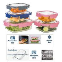 China IKOO High Borosilicate Glass Food Container with 2-Lock PP Lid - Microwave Safe and Leak-Proof for Meal Prep for sale