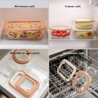 China plastic-free glass food storage set with lfgb certificate for Zero-Waste & Sustainable Lifestyle Retailers for sale
