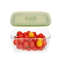 China IKOO Modern and Stylish Teal Color Glass Container with PP Lid Made of High Borosilicate Glass for Food Storage for sale