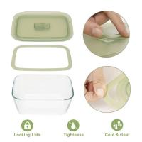 China IKOO Modern and Stylish Teal Color Glass Container with PP Lid Made of High Borosilicate Glass for Food Storage for sale