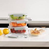 China IKOO Microwave Oven and Freezer Safe Borosilicate Glass Food Container with Airtight PP Lid for sale