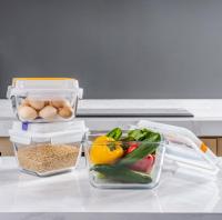 China IKOO Extra Large Borosilicate Glass Food Storage Container with Airtight Leak-proof Lid and BPA Free Handle for sale