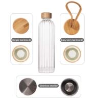 China IKOO BPA-Free Reusable Glass Water Bottle with Leak-proof Airtight Lid and Dishwasher Safe Borosilicate Glass Bottle for Gym and Office for sale