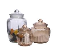 China IKOO 600ml 1400ml 1900ml Glass Canister and Fermentation Jar for Food Storage with Airtight Lid for sale