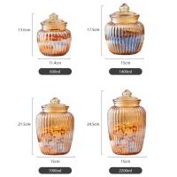 China IKOO 600ml 1400ml 1900ml Glass Canister and Fermentation Jar for Food Storage with Airtight Lid for sale