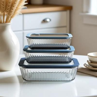 China IKOO Rectangular Striped Customizable BPA-Free Glass Food Container with Vented Glass Lid for sale