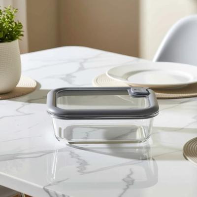 China IKOO Borosilicate Glass Food Container with Vented Glass Lid for sale