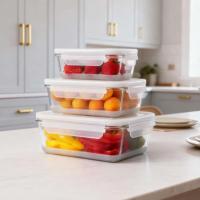 China High Borosilicate Glass Food Container with Airtight Lids and Microwave Safe for Meal Prep and Storage for sale