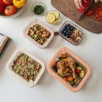 China plastic-free glass food storage set with lfgb certificate for Zero-Waste & Sustainable Lifestyle Retailers for sale