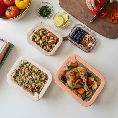 China plastic-free glass food storage set with lfgb certificate for Zero-Waste & Sustainable Lifestyle Retailers for sale
