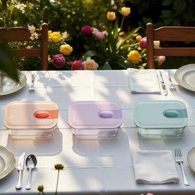 China IKOO Glide-Ease One-Handed Opening Leakproof Airtight Glass Food Storage Container and Borosilicate Glass Container for sale