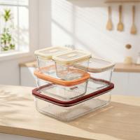 China IKOO New Arrival Leakproof Plastic Free Meal Prep Containers with Silicone Framed Airtight Lid for sale