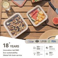 China Non-stick Coating Borosilicate Glass Food Container with Airtight Glass Lid - Microwave and Oven Safe for sale