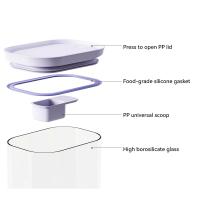 China Factory Direct New Design High Borosilicate Glass Canister with Easy Open Lid for sale
