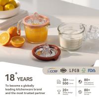 China IKOO High Borosilicate Glass Measuring Cup and Juicer with 500ml Capacity and Microwave Safe Design for sale