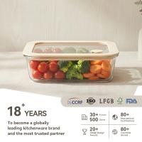 China IKOO Oven Safe Dishwasher Safe Freezer Safe Glass Food Storage Container with Silicone Framed Glass Lid for sale
