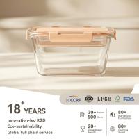 China IKOO Extra Large Double Layer Glass Food Container with Divider for sale