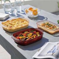 China IKOO Private Label Translucent Colored Borosilicate Glass Baking Pan for sale