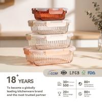 China IKOO BPA Free Colored Borosilicate Glass Food Container with Airtight Cool Lock Lid FDA/LFGB Approved for sale