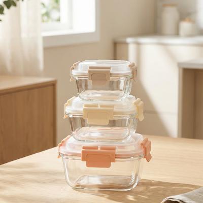 China IKOO Oven Safe Borosilicate Glass Lunch Box Set with Lid Manufacturer for sale