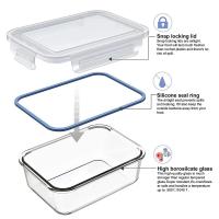 China Global Safety Certified Borosilicate Glass Food Container with Lid for sale
