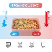 China IKOO Borosilicate glass food storage containers with Lid for sale