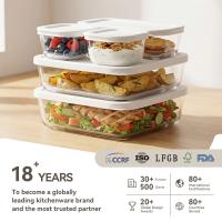 China IKOO BPA-free Modular Design Glass Food Storage Containers with Glass Lid for Home Goods Store for sale