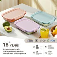 China Snap & Nest Reusable Leak Proof Glass Food Storage Containers With Lfgb Certificate For Home Living E-commerce & DTC Brands for sale