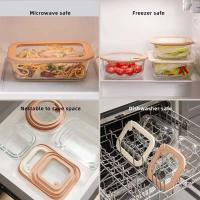 China Microwave Safe and Leak-Proof Glass Food Storage Container with Plastic Free Glass Lid for sale