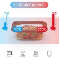 China Microwave Safe and Leak-Proof Glass Food Storage Container with Plastic Free Glass Lid for sale