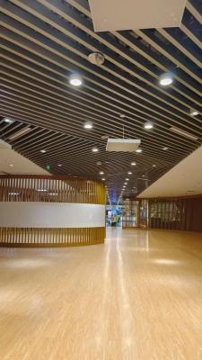 China Recyclable Thin-Wall Extrusion Aluminum Profiles 1.2mm Thickness For Lightweight Structures for sale