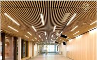 China Class A1 Fire Resistant Sound Absorbing U Shape Baffle Ceiling with Customizable Colors for Commercial and Industrial Use for sale