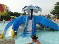 China Animal Shaped Water Playground Equipment Aqua Park Fiberglass Water Slide for sale