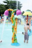 China Amusement Park Water Playground Equipment Water Slide Playground for sale