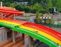 China Long Swimming Pool Waterpark Racer Water Slide Monster Octopus Water Slide for sale