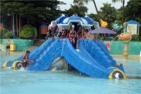 China Adult Children'S Swimming Pool Slides Water Slide Splash ISO9001 for sale