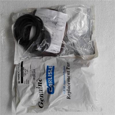China terex 15271389 seal kit for terex TR60 terex ming truck for sale