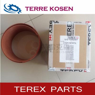 China terex 9396506 Service kit for terex TR35A terex ming truck for sale