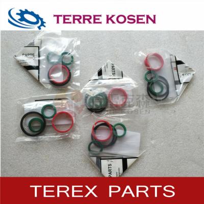 China TEREX 15266099 Repair kit for terex tr100 truck parts for sale