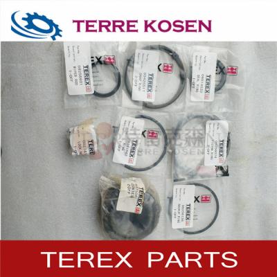 China TEREX 09396485 Repair kit for terex tr100 truck parts for sale
