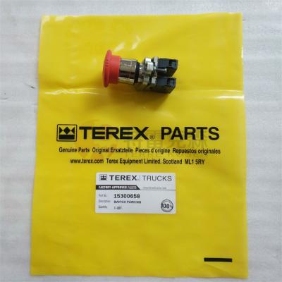 China TEREX 15300658 SWITCH-EMERGY/PARK  for terex tr100 truck for sale