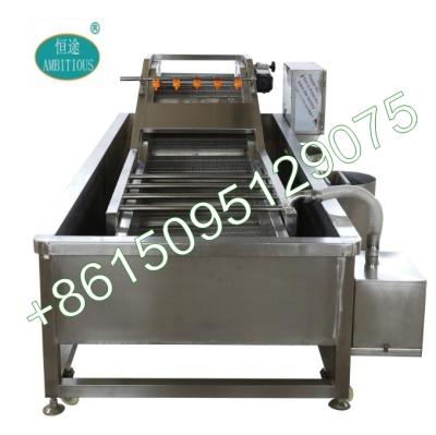 China Air Washing And Cleaning Vegetables And Fruit Continuously Bubble Vegetable Washing And Rinsing Machine for sale