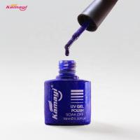 China 60 Colorful OEM ODM 3 Step 8ml Soak Off Gel Polish for sale