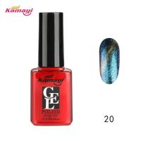 China OEM 12ml Chameleon Cat Eye Gel Nail Polish for sale